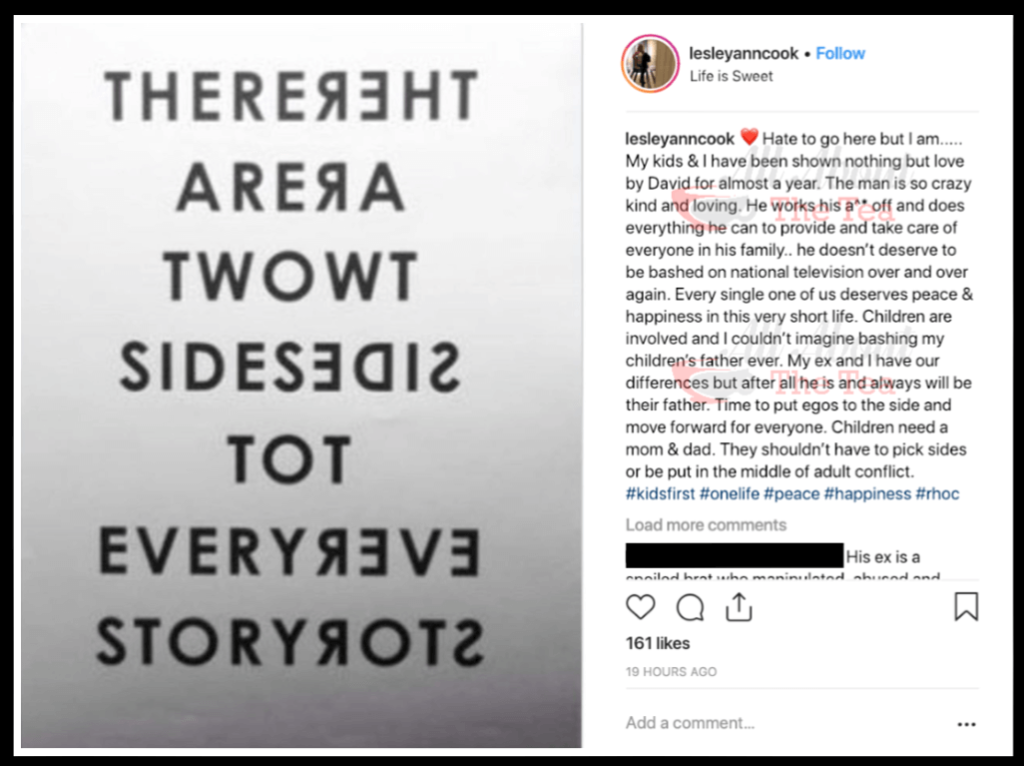 Lesley Cook Goes OFF On Shannon Beador For Labeling David Abusive!