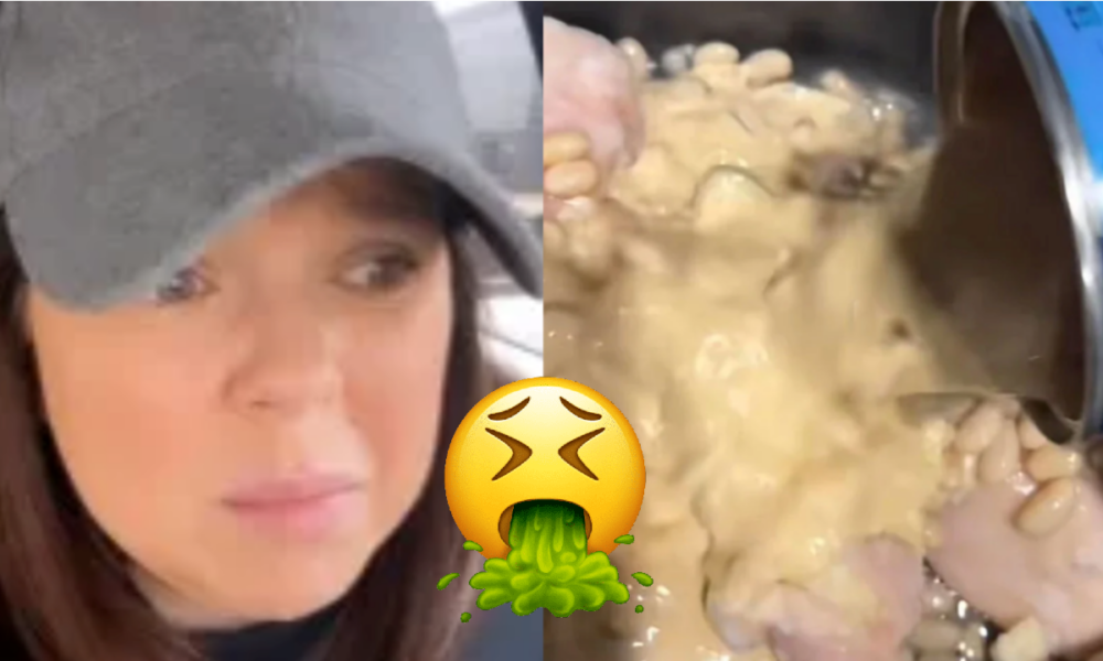 Fans Compare Amy Duggar's Gross Dinner To Cat Food
