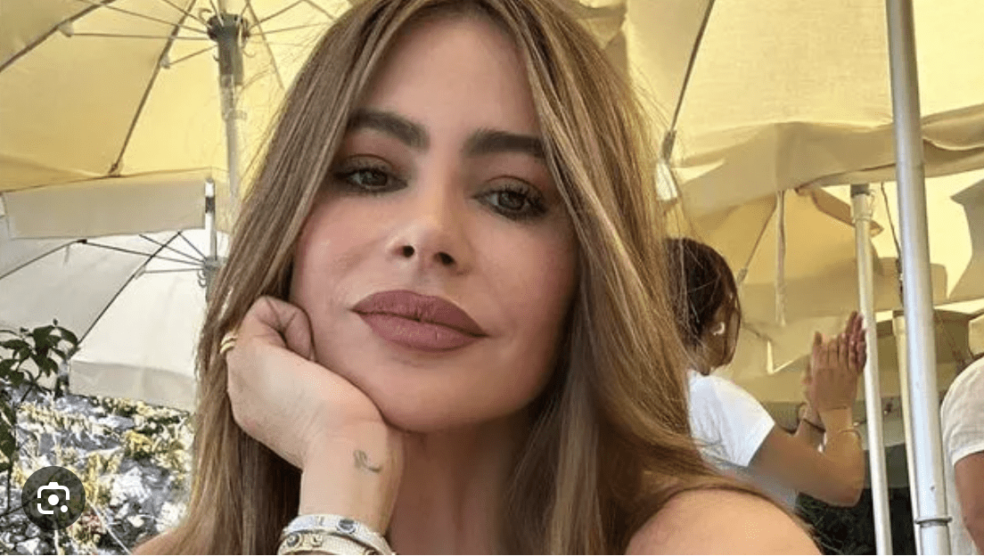 Teresa Giudice Calls Sofia Vergara A 'Rude' Immigrant, Who 'Forgot ...